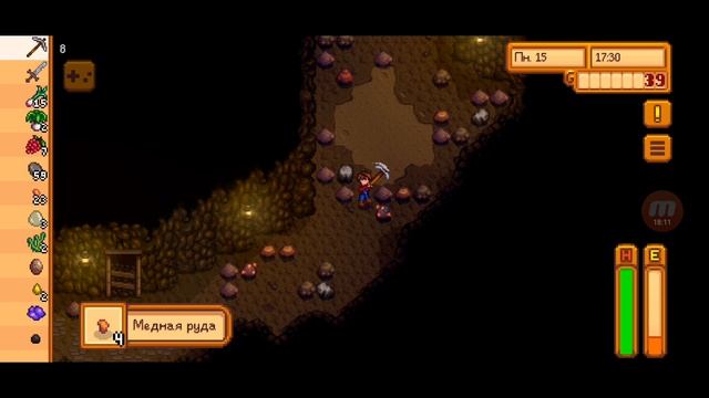 Stardew valley / 6/ android/ прохождение
