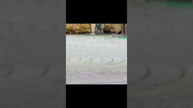 интерактивная выставка Моя Россия Роза Хутор Адлер Сочи