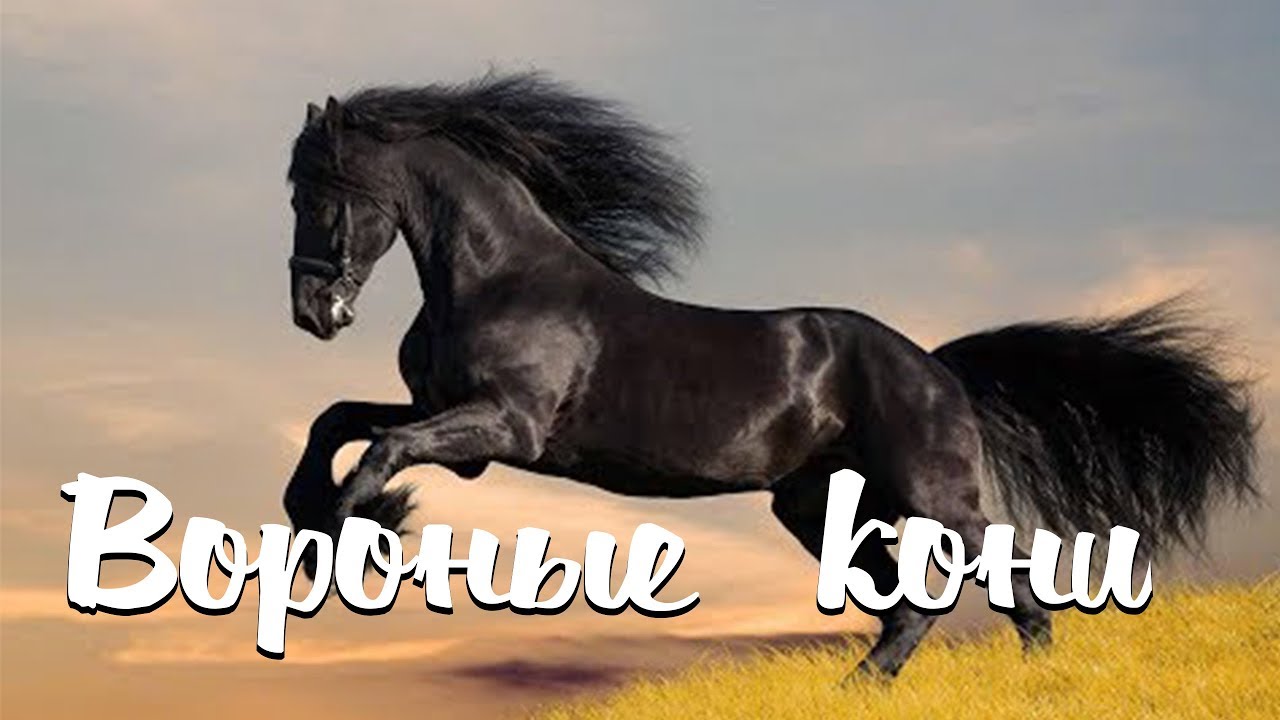 ВОРОНЫЕ КОНИ  / Разбор на гармони по цифрам
