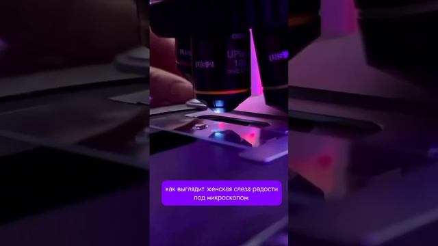 Покупайте то, что давно хотели, с повышенным кешбэком до 50% во Всёсмарт!