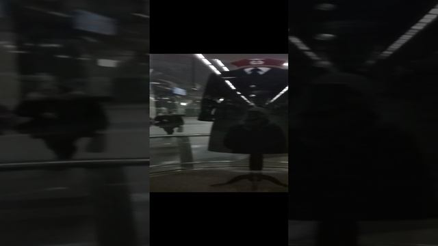 Удивительная выставка на станции метро