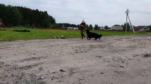 Движения (Мика)