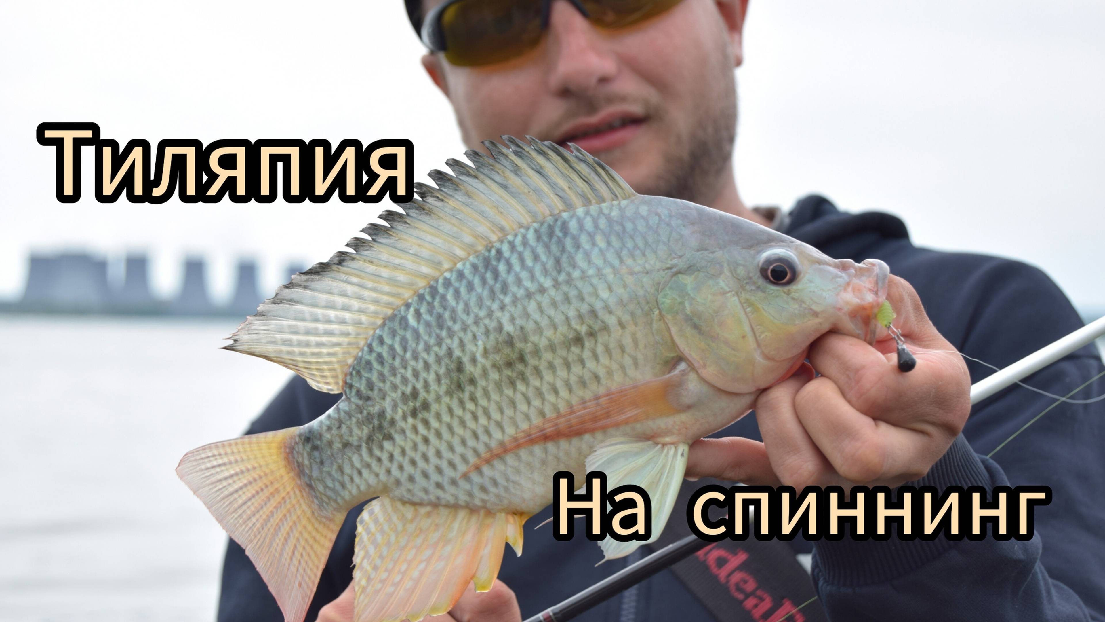 Тиляпия на спиннинг. "Африканские караси" на микроджиг.