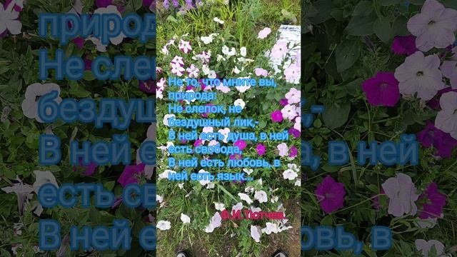 Цитата про природу🏞