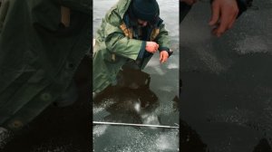 Щука на мормышку