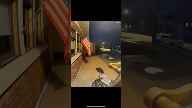 Hungry Raccoon Steals Pizza || ViralHog