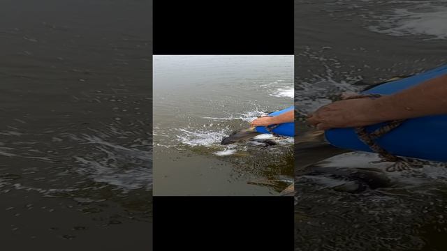 20220621_135550.mp4