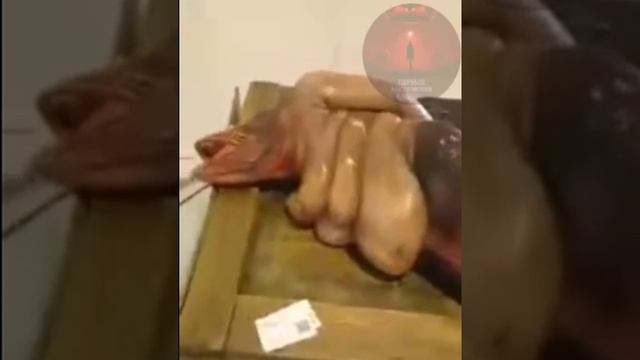 VID_20230718_203234_372.mp4