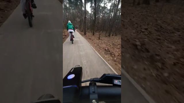Handlebars