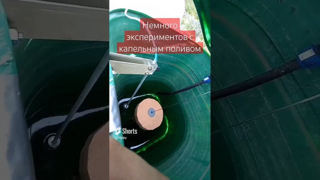 Капельный полив теплицы. Всё таки перешли на емкость. #diy #дача