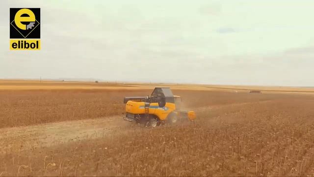 Подсолнечниковая жатка FREESUN ELIBOL (Турция).
