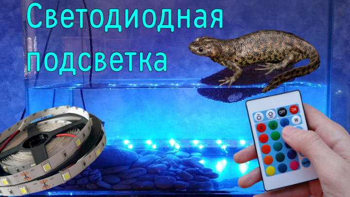Подсветка для аквариума иглистого тритона! Светодиодная лента!