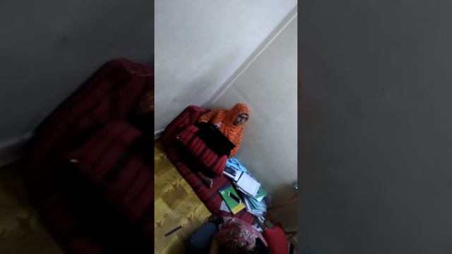 A jinn attacks a Muslim woman in Dubai