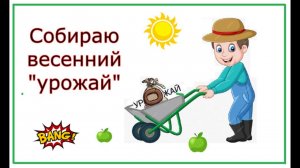 Пришла весна, собираю "урожай".