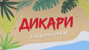 Чем заняться в Новороссийске?  Обзор глэмпинга в лесу, прогулка по улиточной ферме и отдых в сауне