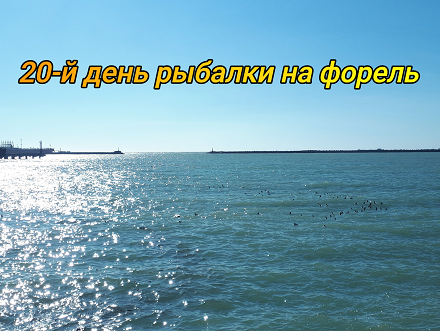 Туапсе 12.02.2022 набережная: 3-я неделя рыбалки на форель завершается.