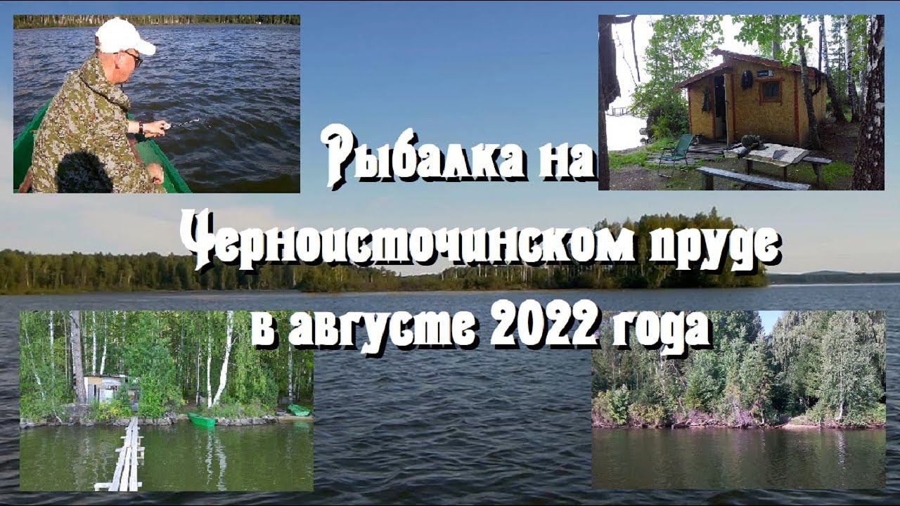 Рыбалка на Черноисточинском пруде в августе 2022 года
