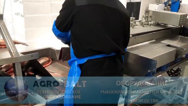 Линия по переработке форели
