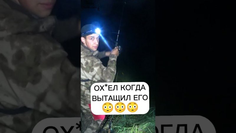 А ВЫ ЛОВИЛИ ТАКИХ?? #fishing #fish #рыбалка #лещ #лещнафидер