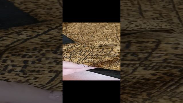 VID_20221015_202726.mp4