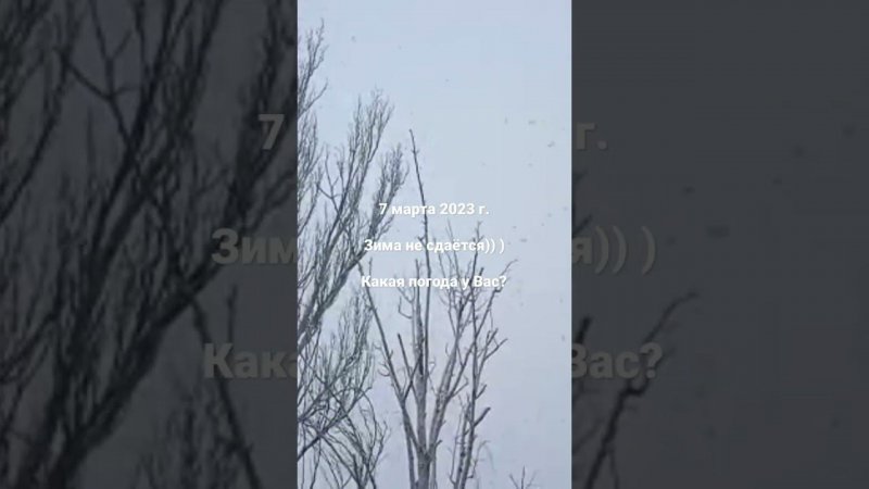 7 Марта 2023. Зима не сдаётся) #блогерылуганска #shortsvideo