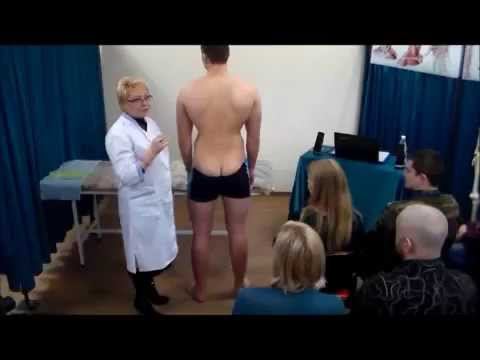 Академия Массажа 'АМАДЕУС' Региональный Представитель НФМ России