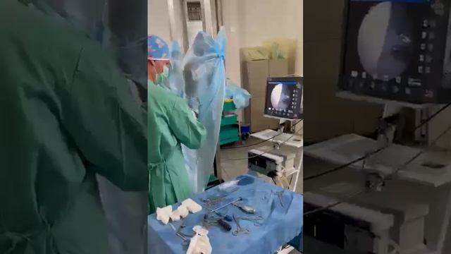 Из практики MAXIMA VET: Артроскопия сразу двух скакательных суставов у лошади, июнь-2022