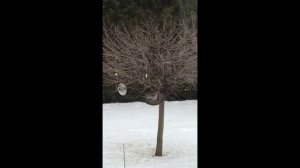 Уроки выживания зимой