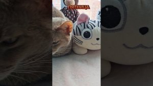 настрой на выходные