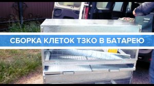 Тюменские клетки для птицы. ТЗКО.РФ
