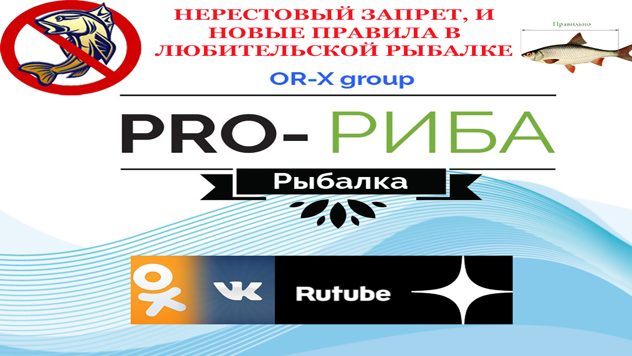 Pro-Риба | Нерестовый запрет, и новые правила в любительской рыбалке