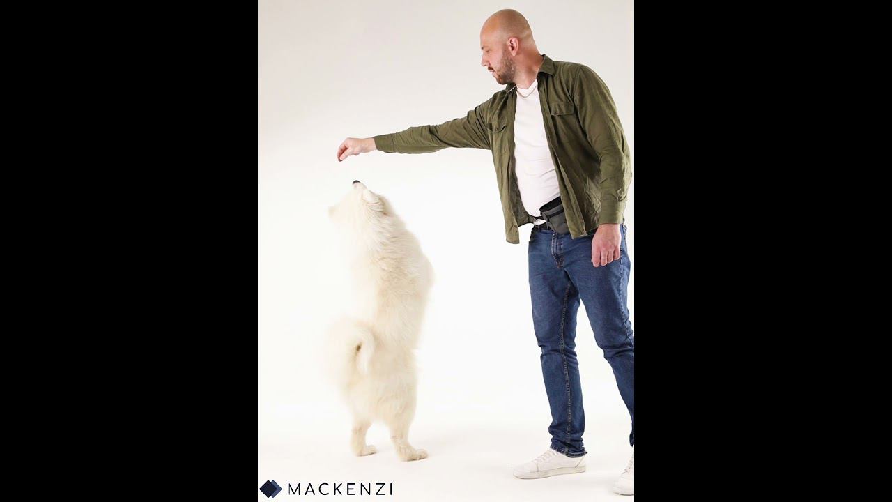 Видеообзор лакомства с собакой, тариф Премиум