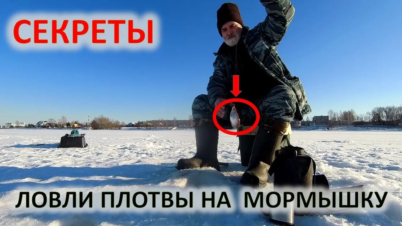 Рыбалка. Ловим живца. Ловля плотвы зимой.
