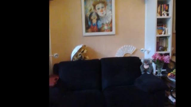 Ф Лист. Утешения. Исполняет Елена Дворяшина (Чиркова)