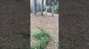08 - Догонялки с девчонками