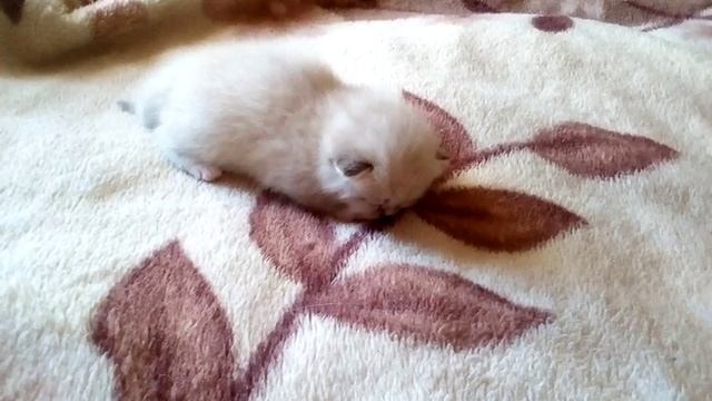 Немного позитива