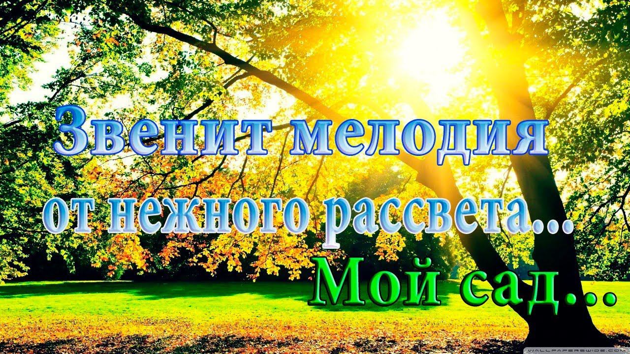 Звенит мелодия от нежного рассвета*    Мой сад