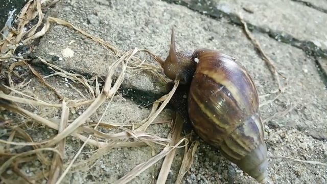 А кушать хочется всегда.mp4