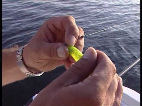 "Fish and we" by Voljanin