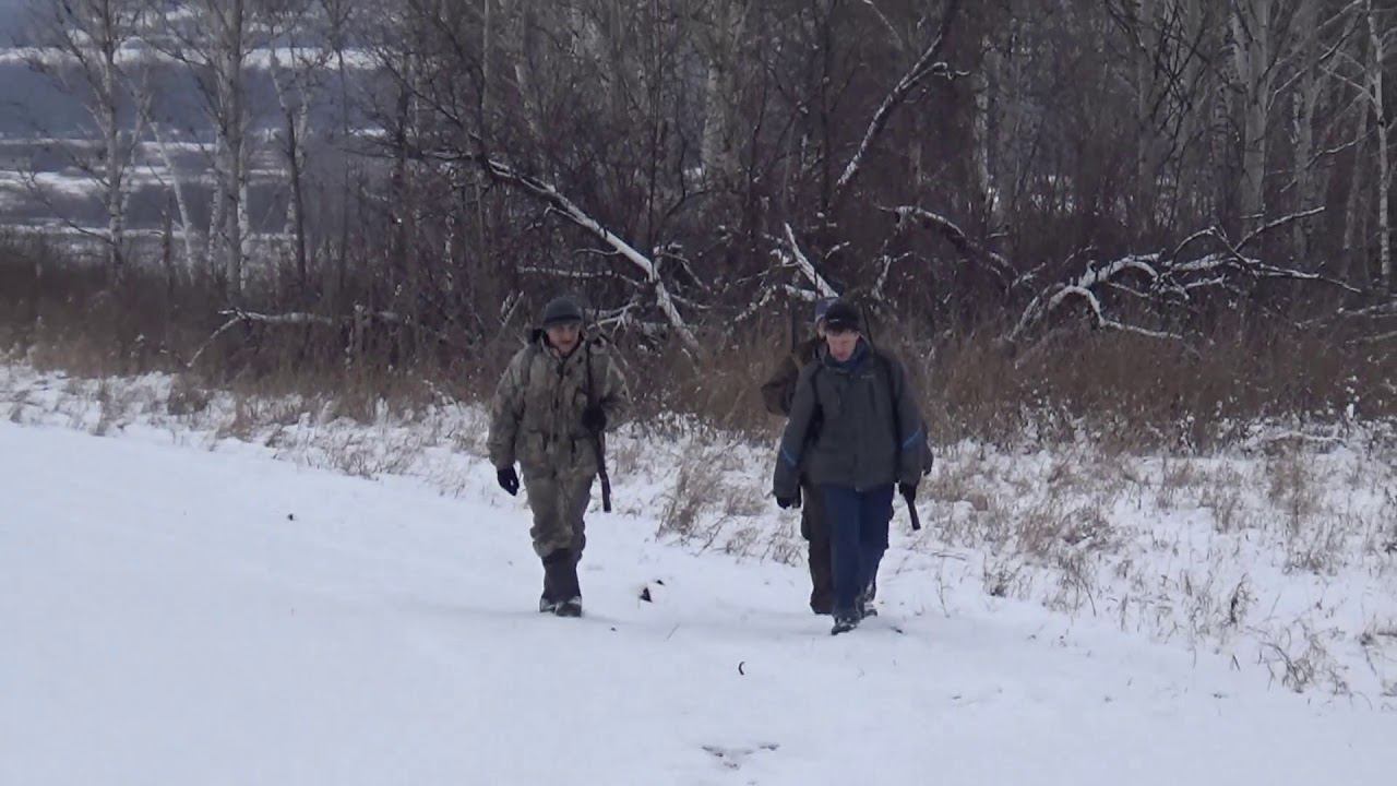 Заяц атакует. Часть 2