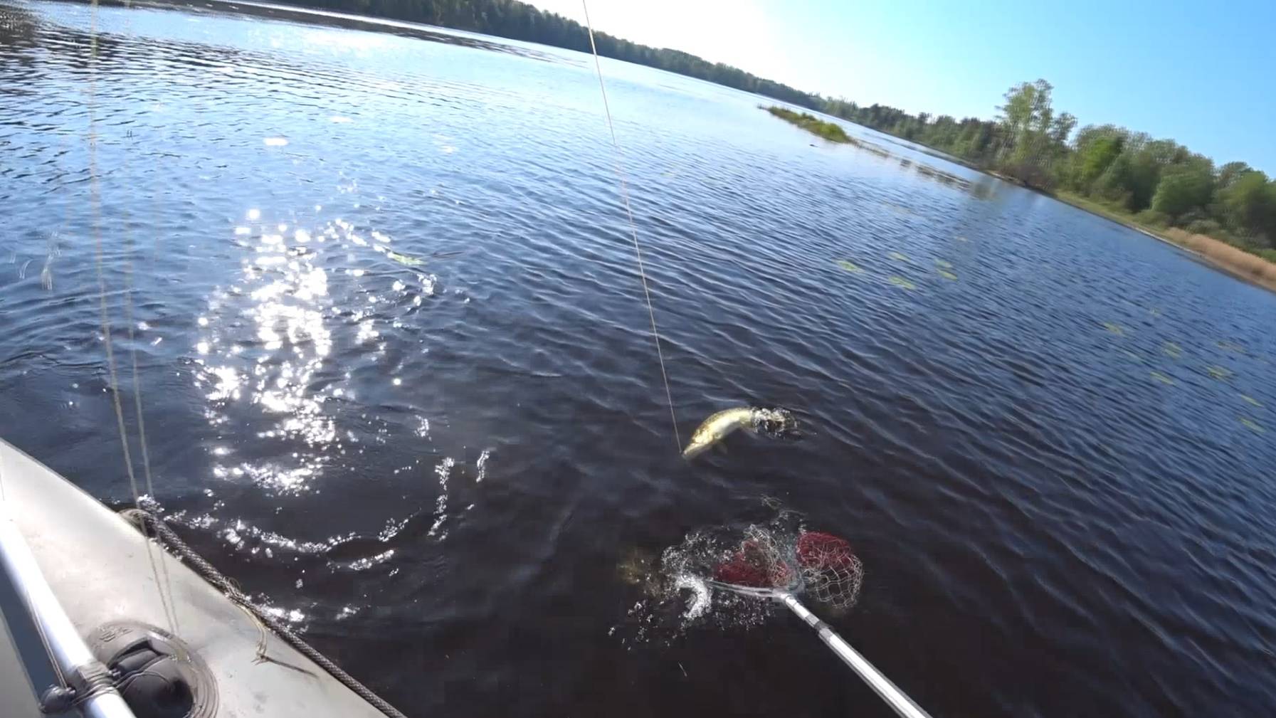 Щука на кружки и жерлицы #3