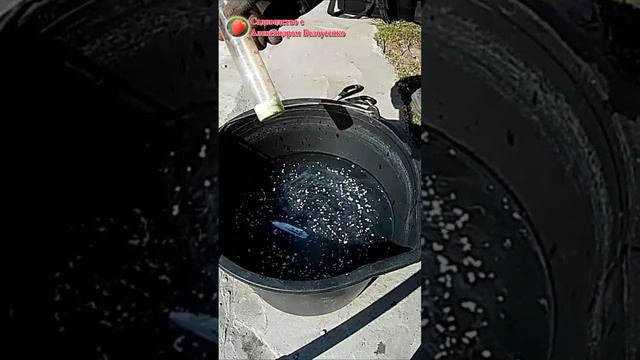 Обработка клубники ранней весной