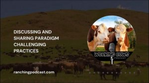 Ep. 352 – Ryan White – Measuring What Matters | Working Cows