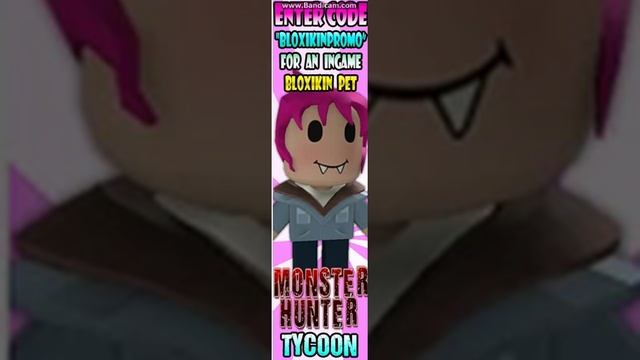 ROBLOX-ENTER CODE