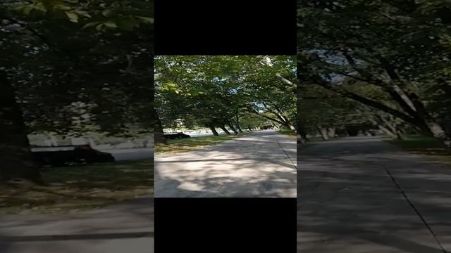 Регистратор на электросамокате.mp4