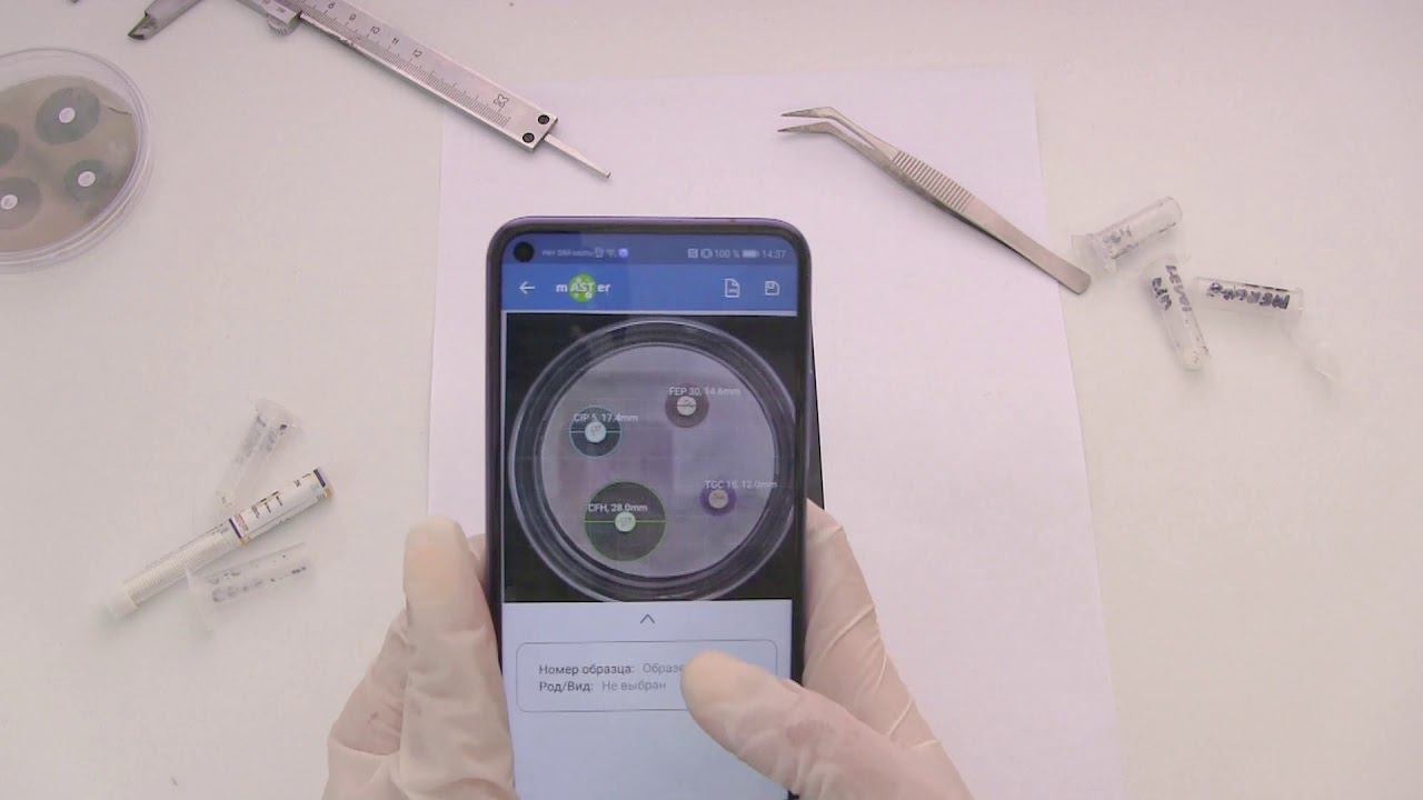 Приложение для определения антибиотикорезистентности с ИИ и машинным зрением