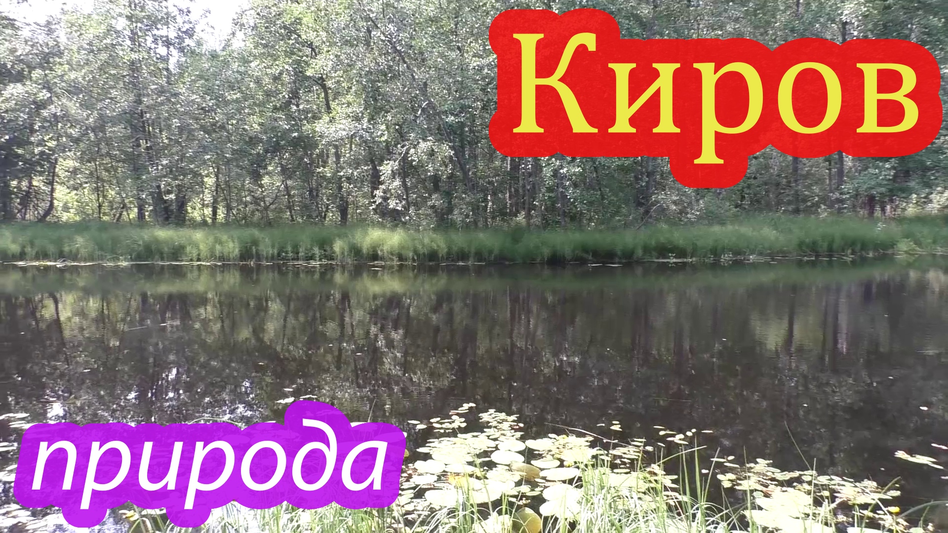 Тихая охота.mp4