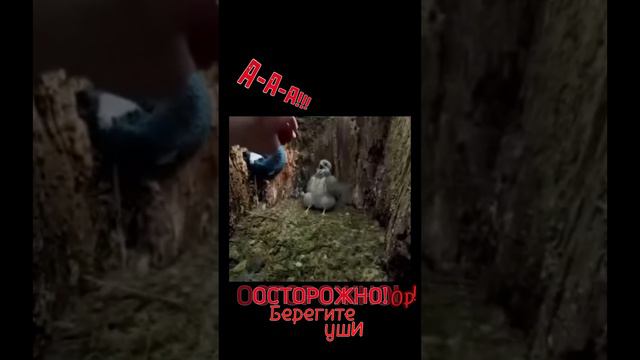 😵😂😂😂😂😂😅