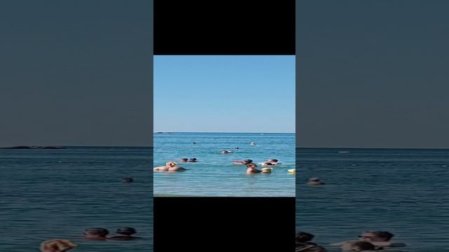 Карточка видео