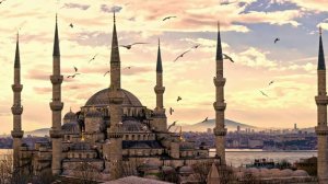 JLY#8 TURKEY